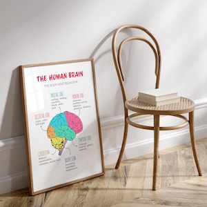 Brain Poster, Brain Lobes Functions, Therapy Office Decor, the Human ...