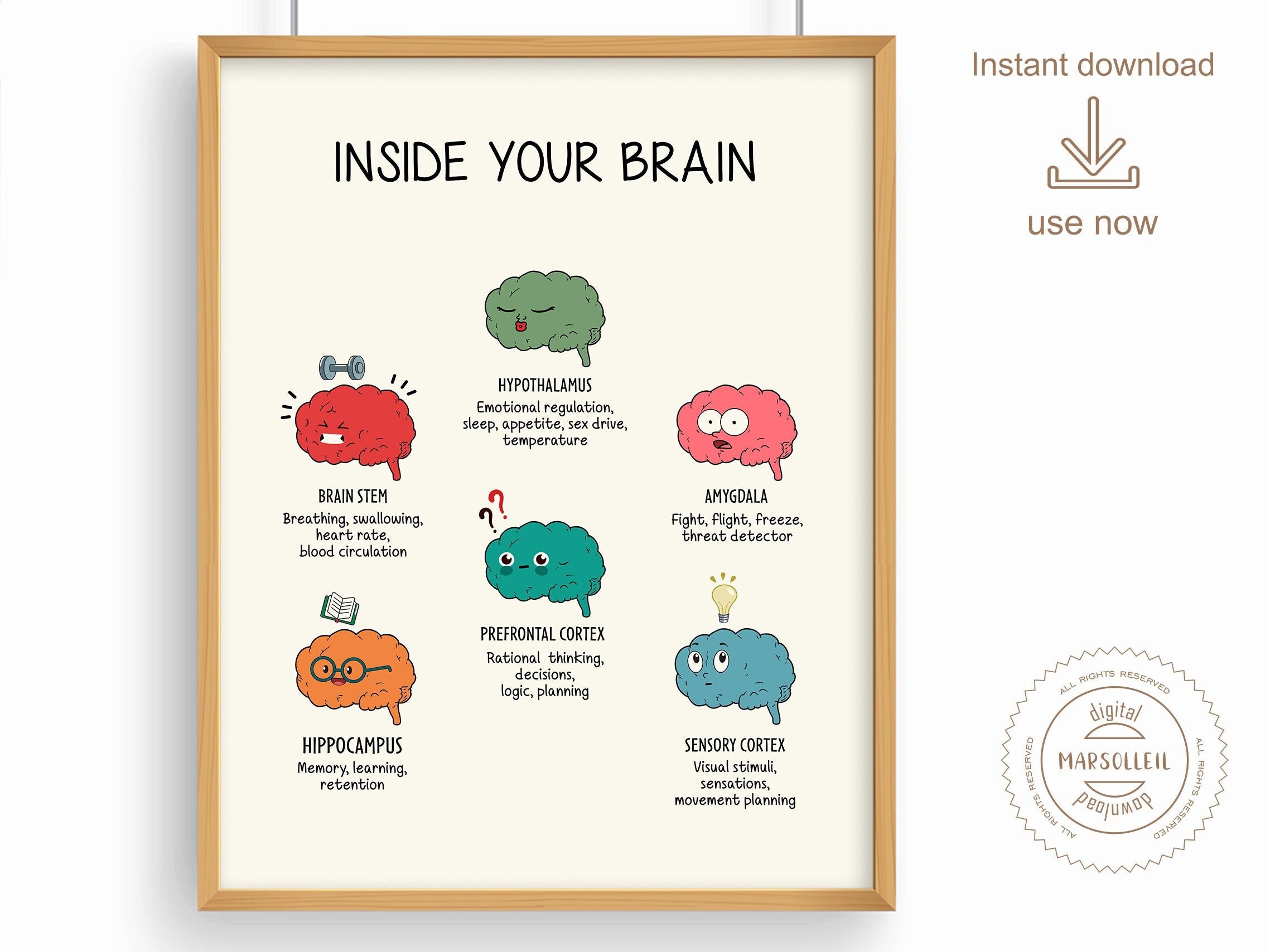 Brain Functions Poster, Inside Your Brain, the Human Brain Poster ...