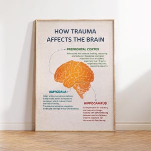 How Trauma Affects the Brain, Trauma Brain Poster, Mental Health Wall ...