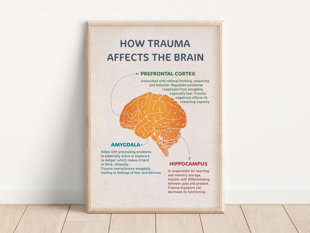 How Trauma Affects the Brain, Trauma Healing, Mental Health, Therapy ...