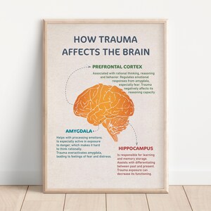 How Trauma Affects the Brain, Trauma Healing, Mental Health, Therapy ...