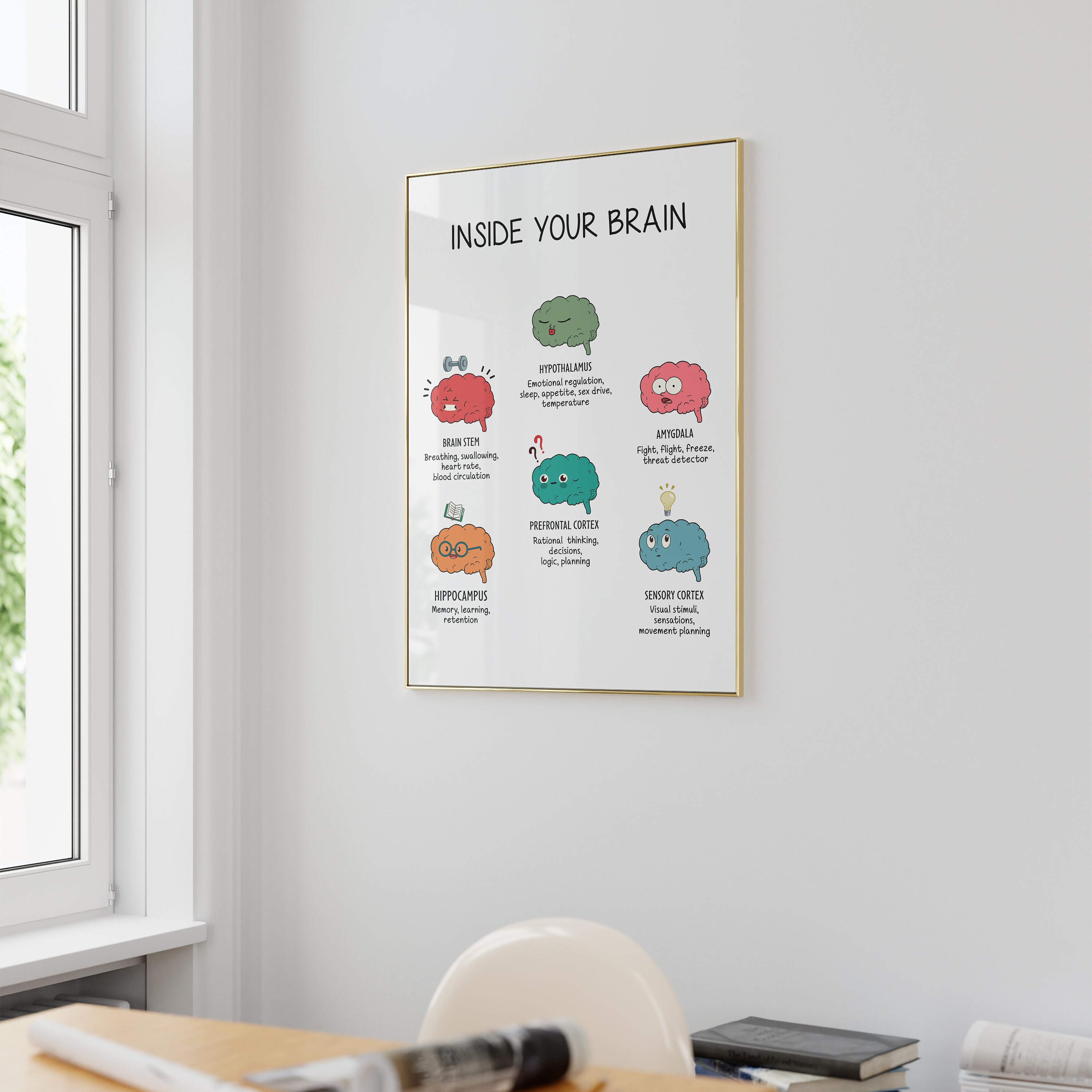 Brain Functions Poster, Parts of the Brain, Inside Your Brain, the ...