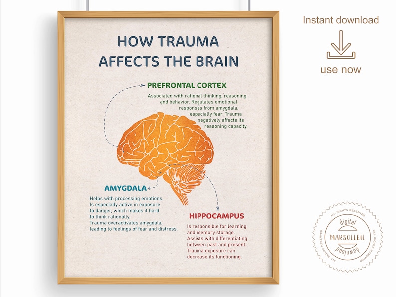 How Trauma Affects the Brain, Trauma Healing, Mental Health, Therapy ...