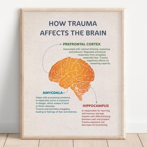 How Trauma Affects the Brain, Trauma Healing, Mental Health, Therapy ...