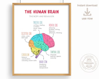 Kids Brain Poster - Etsy