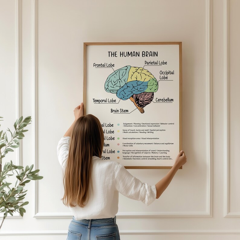 The Human Brain, Mental Health Brain Wall Art, Brain and Behavior ...