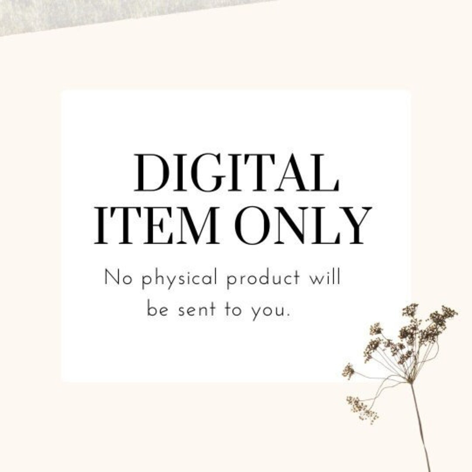 ACOMAF Bookbinding Cover Design PNG A Court of Mist and Fury vinyl Book ...