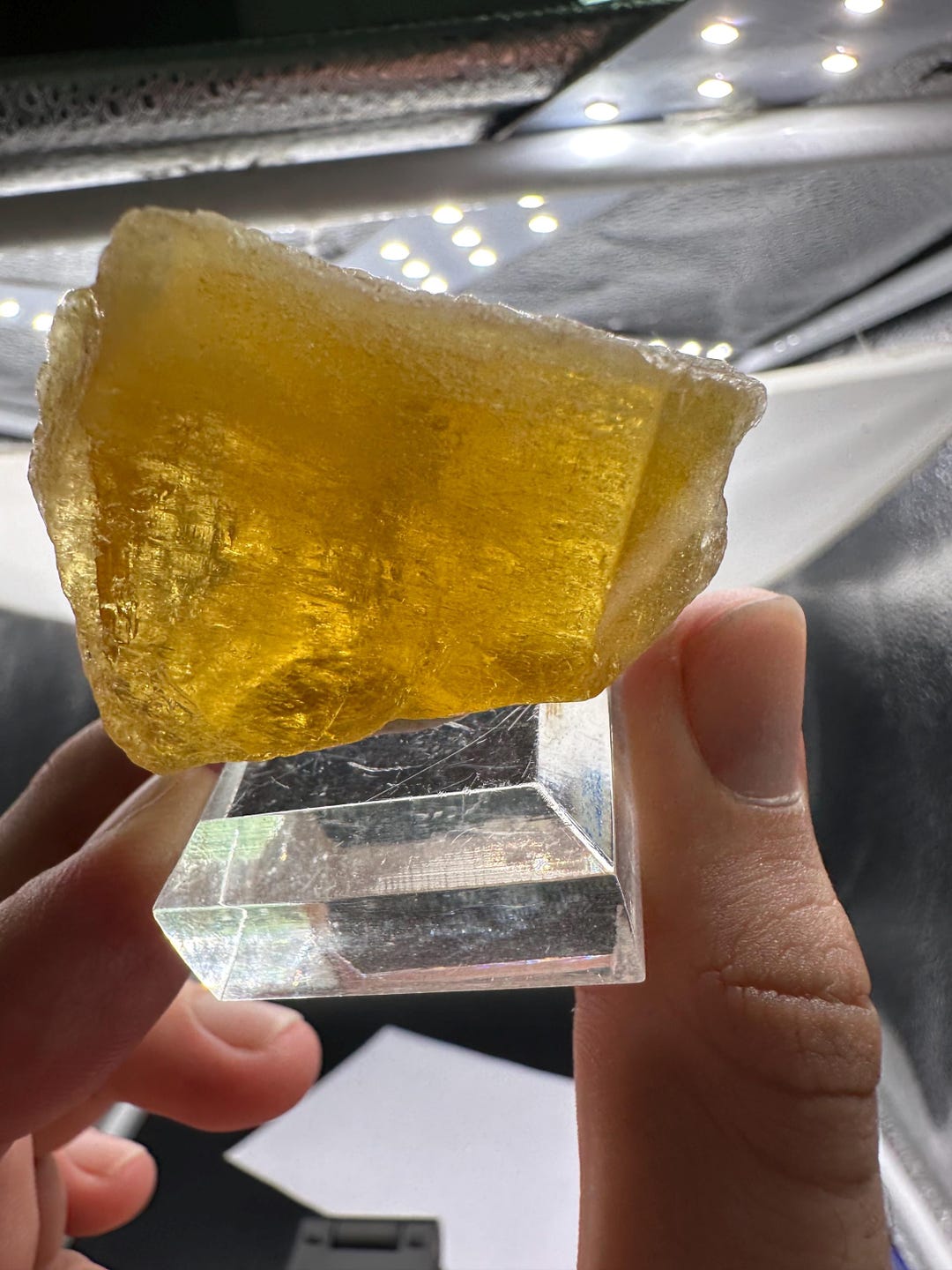 Helidor Beryl or Yellow Beryl Terminated Brazilian Stone . - Etsy