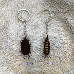 Isopod Artwork Acrylic Keychains Acrylic Cubaris Porcellio 20 Species ...