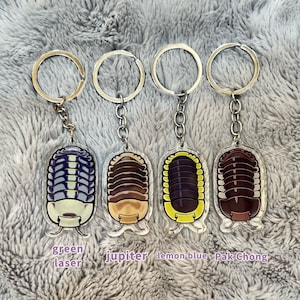 Isopod Artwork Acrylic Keychains Acrylic Cubaris Porcellio 20 Species ...