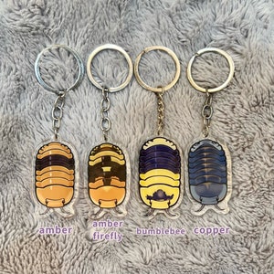 Isopod Artwork Acrylic Keychains Acrylic Cubaris Porcellio 20 Species ...