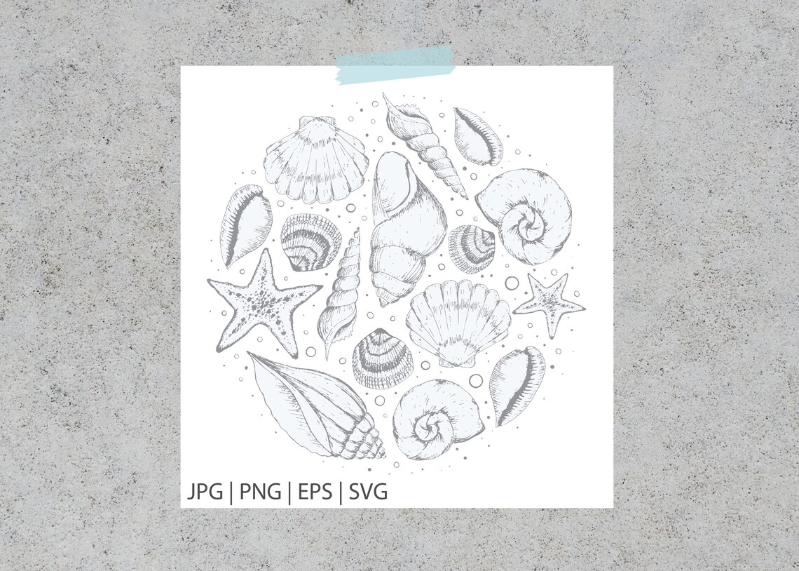 Muscheln SVG JPG PNG Vektor-Clipart. Handgezeichnete - Etsy.de