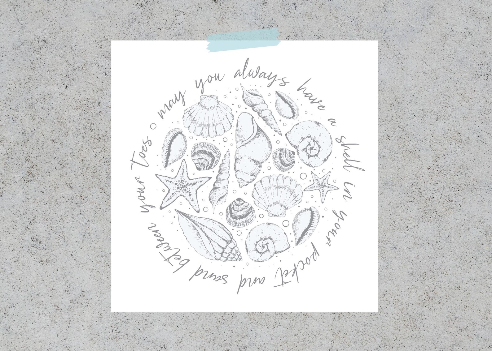 Seashells SVG JPG PNG, Vector Clipart. Hand Drawn, Transparent, Cut ...