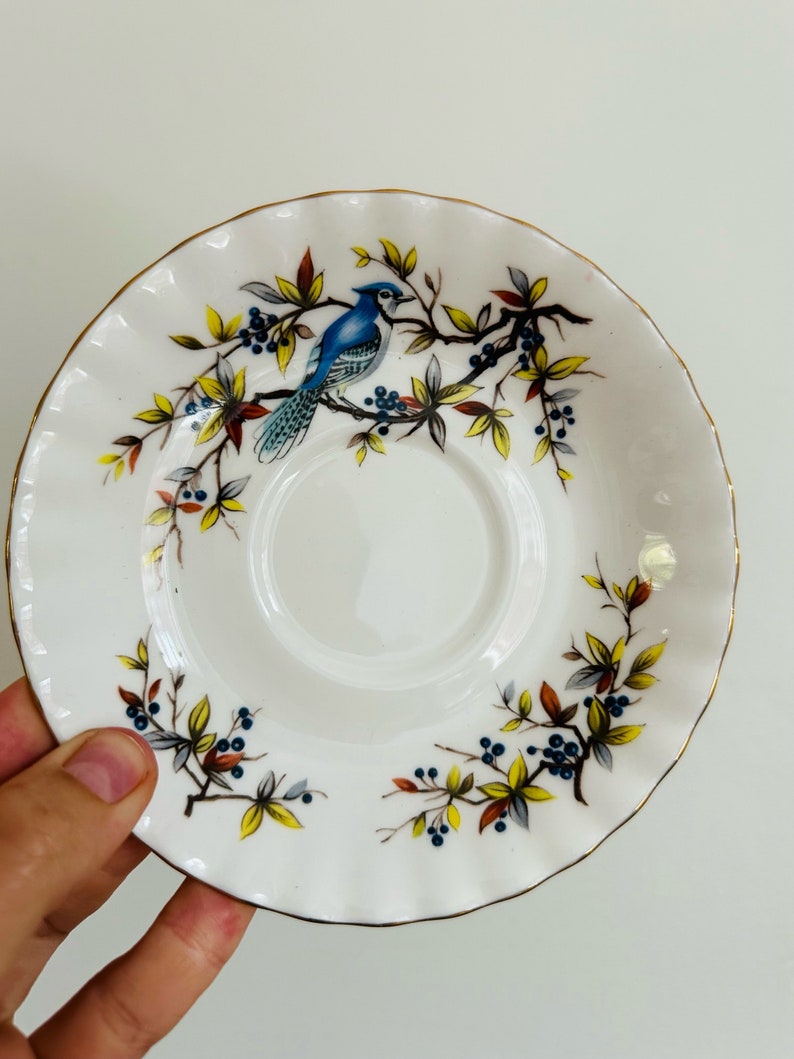 Blue Jay Woodland Series Royal Albert England Fine Bone China Tea Cup ...