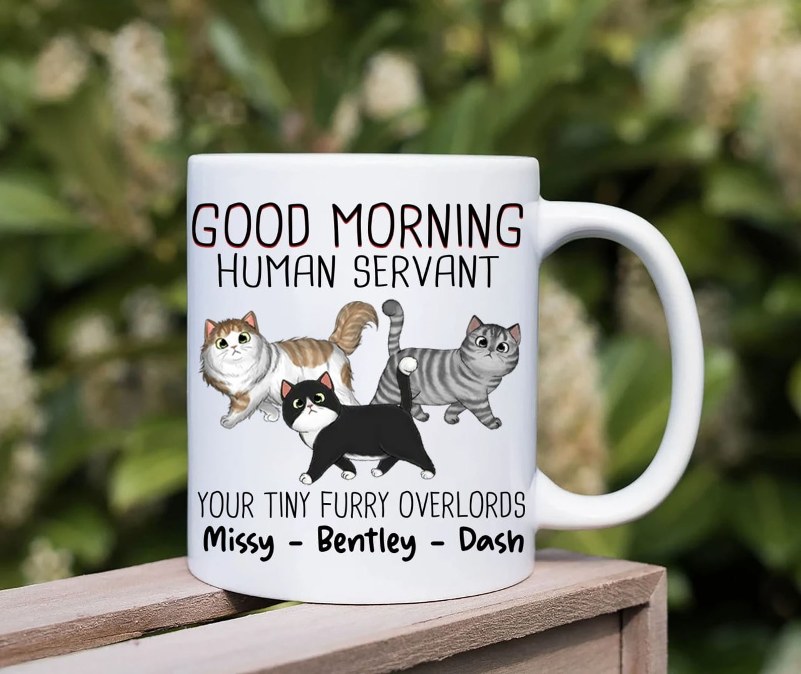 Personalized Coffee Mug Gift for Cat Lover, Good Morning Cat Human ...