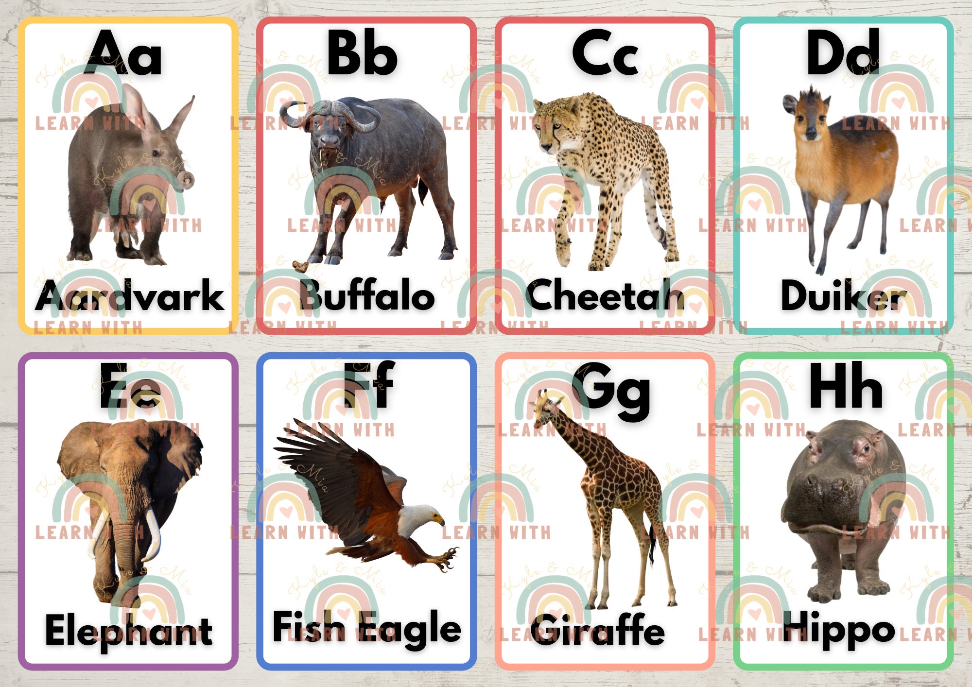 Toys & Games Toys South African Animal Alphabet Flash Cards etna.com.pe
