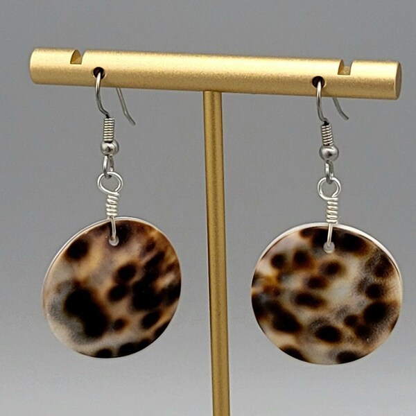 Tiger Cowrie - Etsy