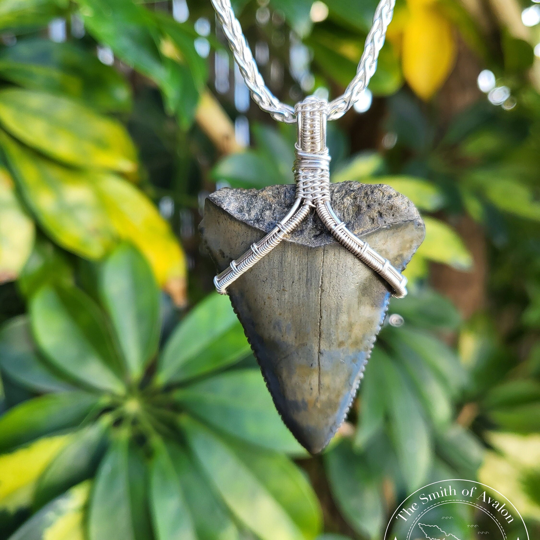 Fossil Great White Shark Tooth Sterling Silver Pendant Etsy