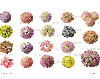 Tree Top View, 2D Landscape Clipart in PNG - Etsy