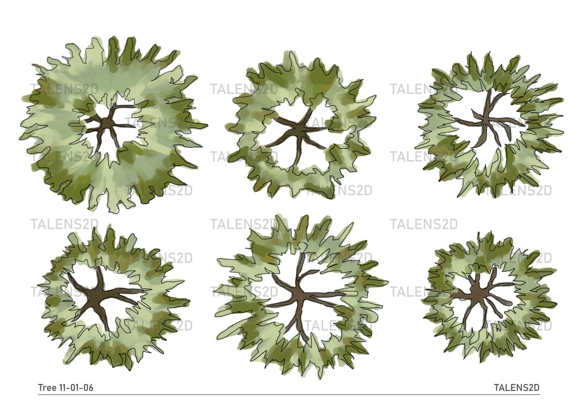 Tree Top View 2D Landscape Clipart in PNG - Etsy