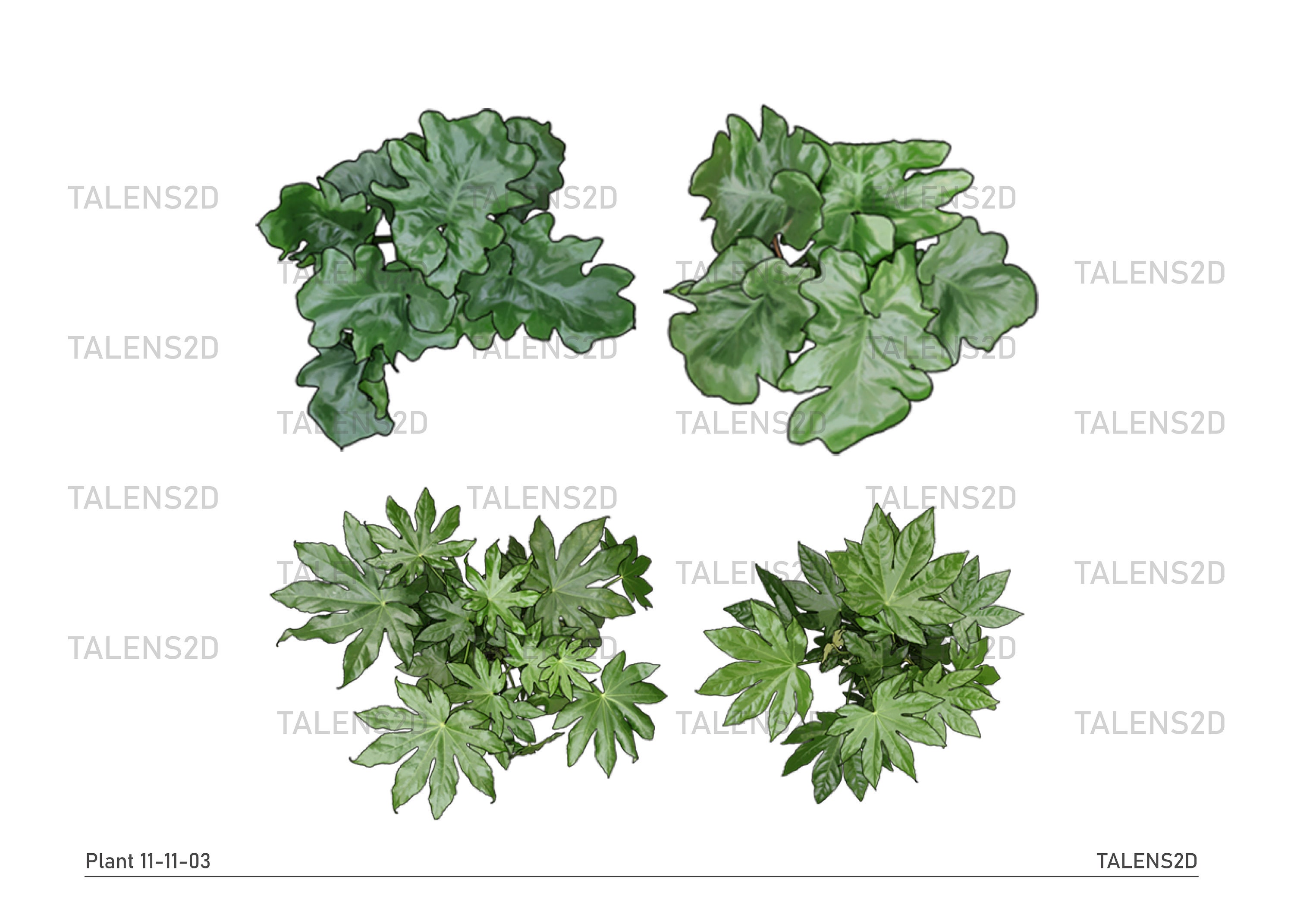 Plant Top View, Landscape Plants, Hand Painted Plant Top Symbols for ...