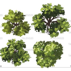 Tree Top View, 2D Landscape Clipart in PNG - Etsy
