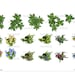 Plant Top View, 2D Landscape Clipart in PNG - Etsy