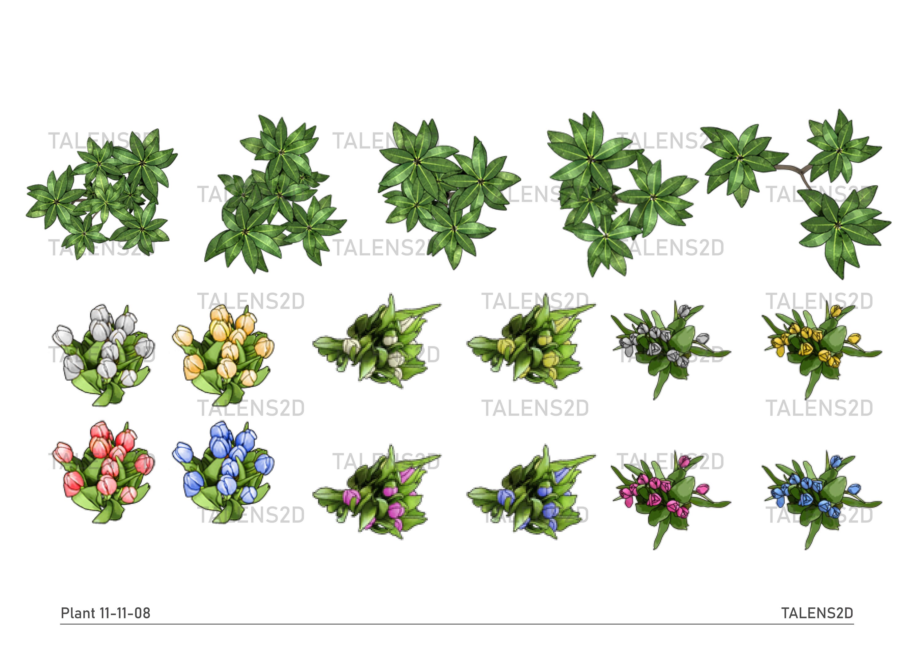 Plant Top View, Landscape Plants, Hand Painted Plant Top Symbols for ...