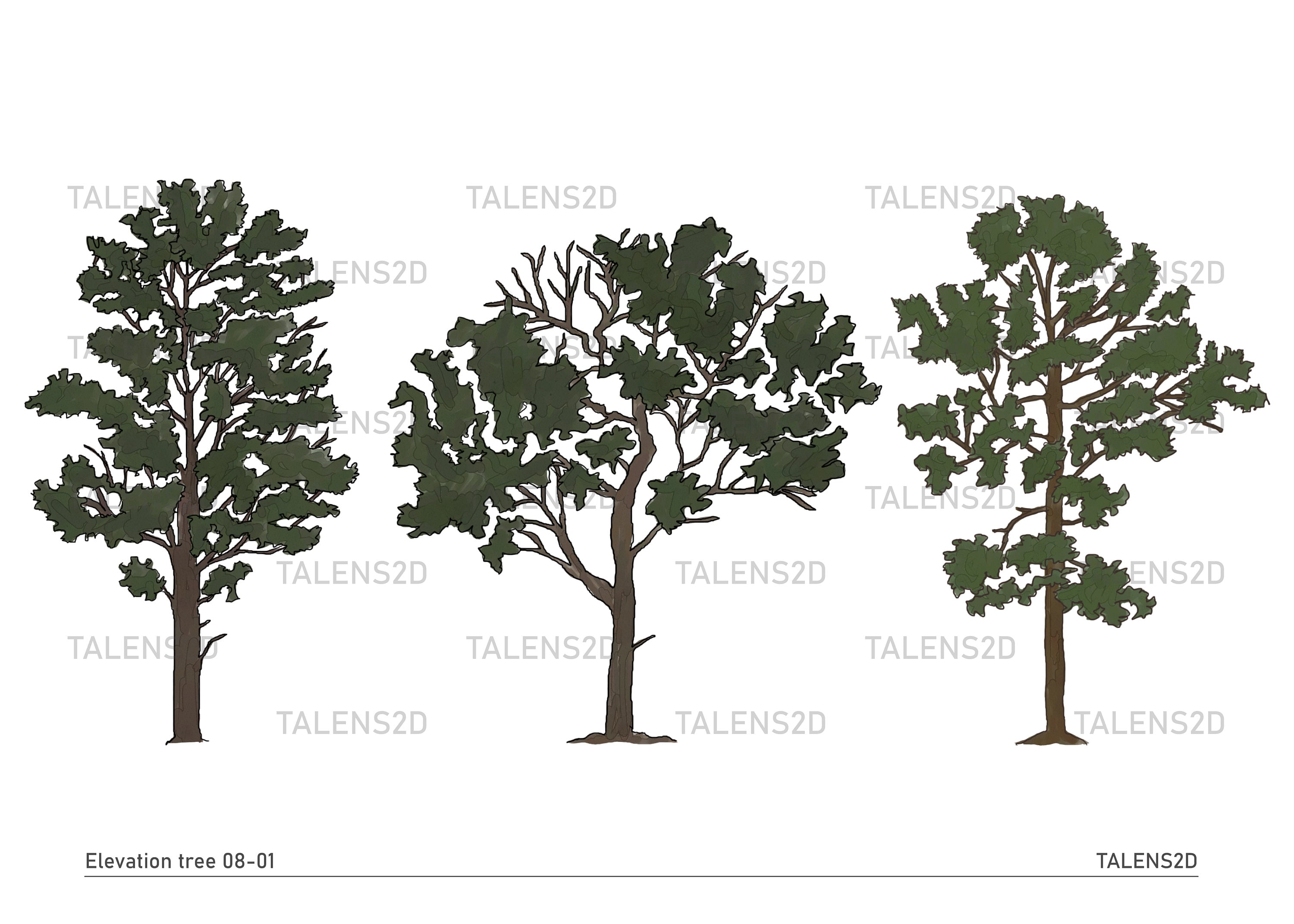 Watercolor Trees Clipart | Painted Tree Clipart | PNG Graphics ...