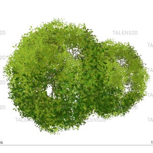 Tree Top View, 2D Landscape Clipart in PNG - Etsy