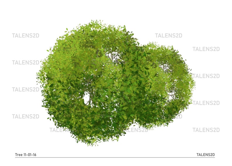 Tree Top View, 2D Landscape Clipart in PNG - Etsy