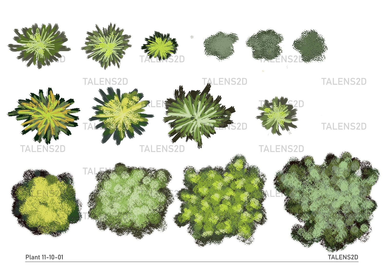 Plant Top View, 2D Landscape Clipart in PNG - Etsy