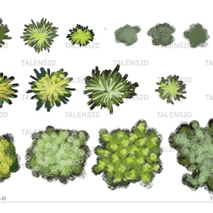 Plant Top View, 2D Landscape Clipart in PNG - Etsy
