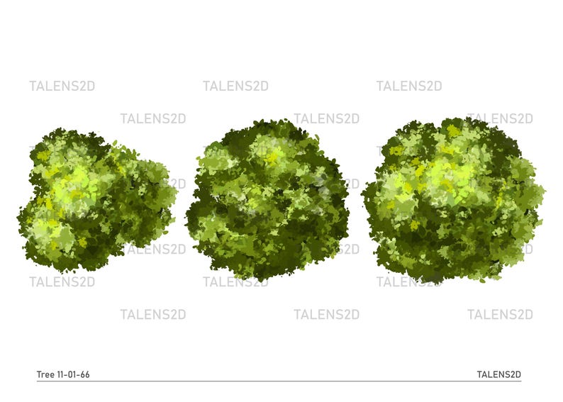 Tree Top View, 2D Landscape Clipart in PNG - Etsy