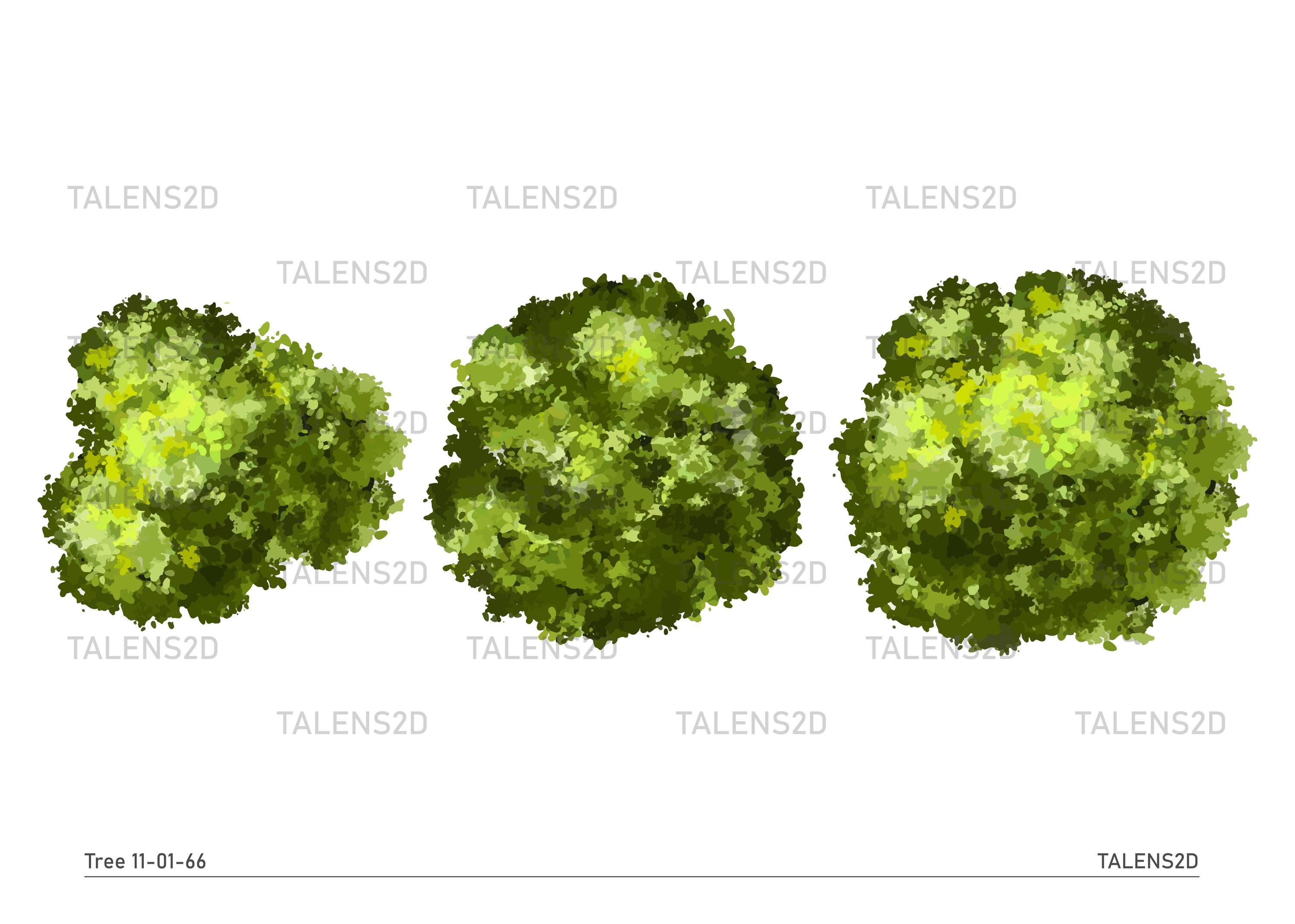 Tree Top View, 2D Landscape Clipart in PNG - Etsy