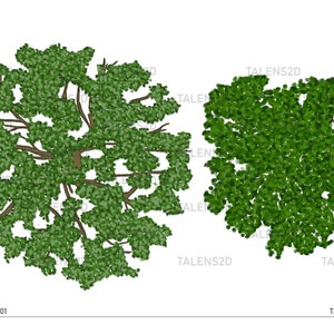 Tree Top View, 2D Landscape Clipart in PNG - Etsy