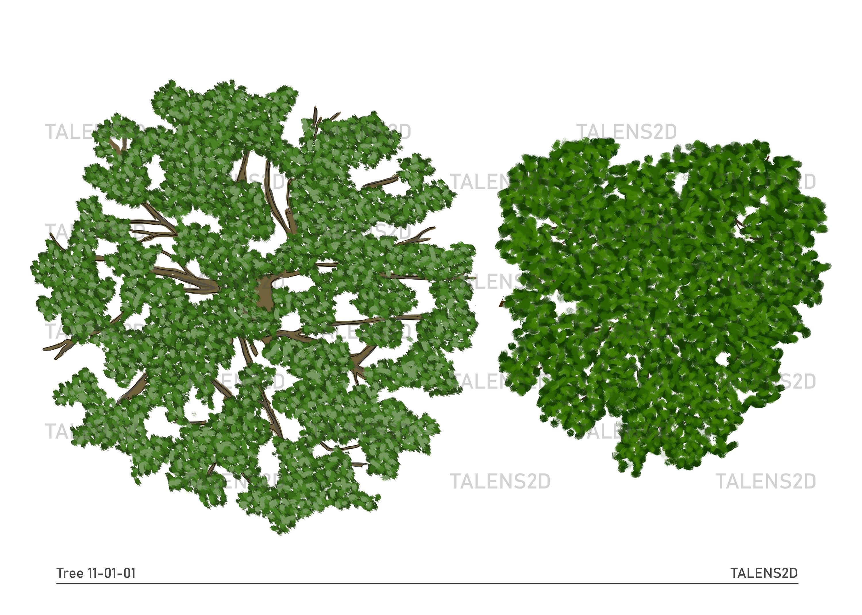 Tree Top View, 2D Landscape Clipart in PNG - Etsy