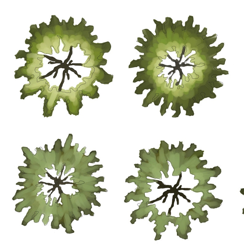 Tree Top View 2D Landscape Top View for Floor Plans PNG - Etsy UK
