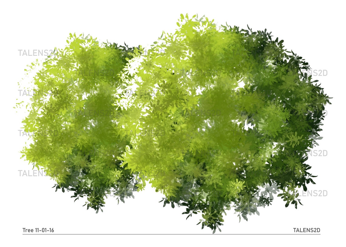 Tree Top View, 2D Landscape Clipart in PNG - Etsy