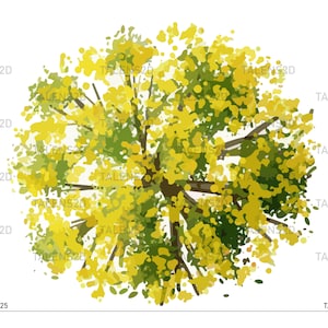 Tree Top View, 2D Landscape Clipart in PNG - Etsy