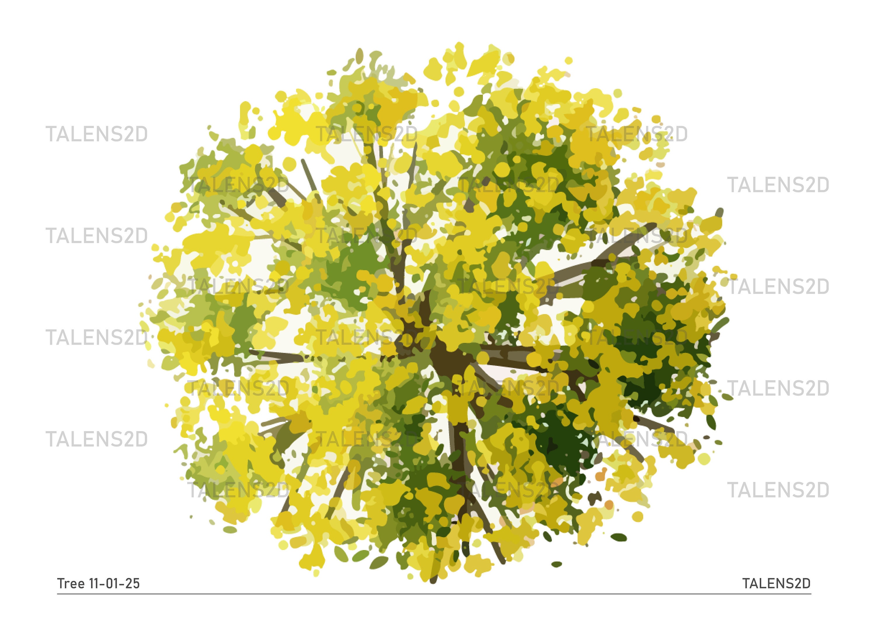 Tree Top View, 2D Landscape Clipart in PNG - Etsy