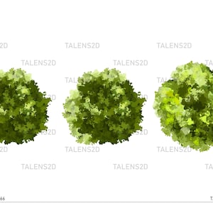 Tree Top View, 2D Landscape Clipart in PNG - Etsy