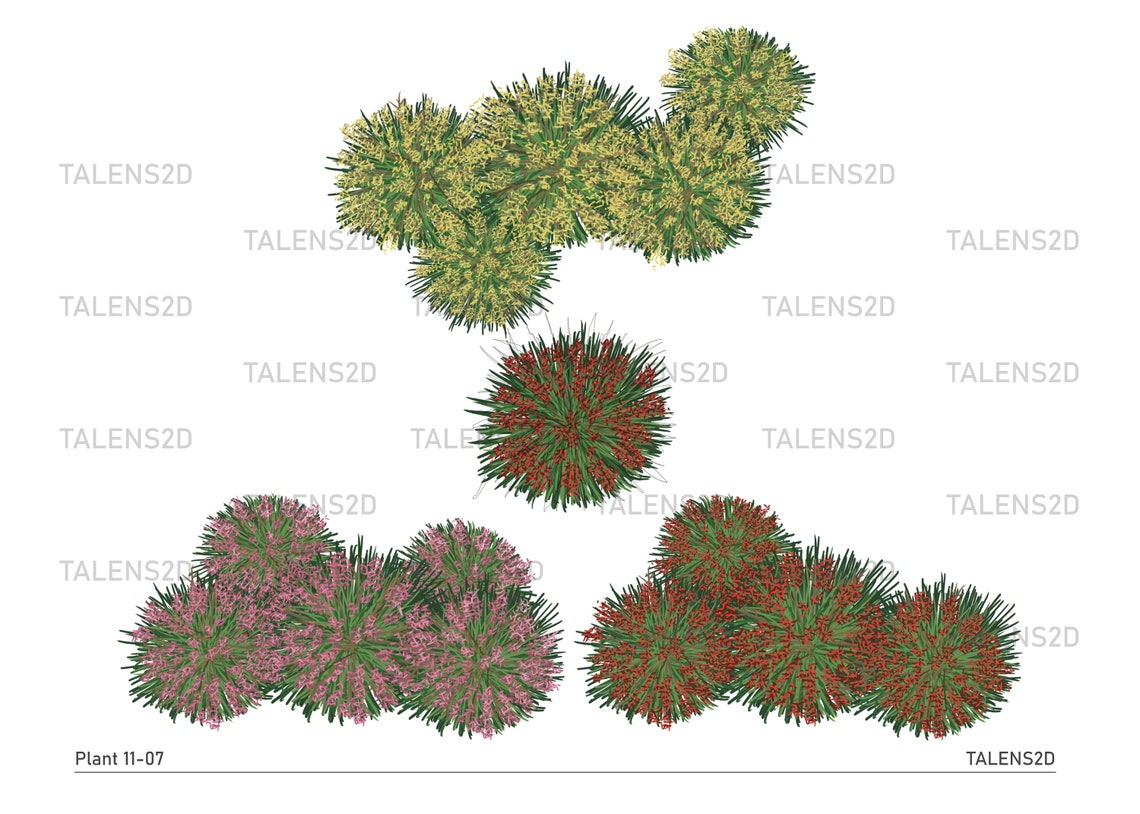 Plant Top View, 2D Landscape Clipart in PNG - Etsy