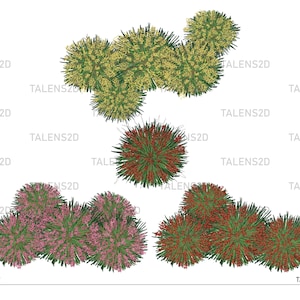 Plant Top View, 2D Landscape Clipart in PNG - Etsy