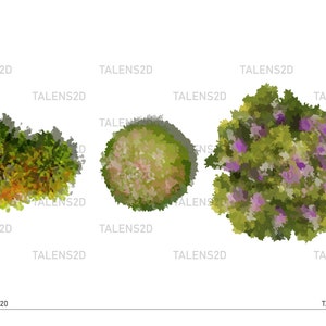 Tree Top View, 2D Landscape Clipart in PNG - Etsy