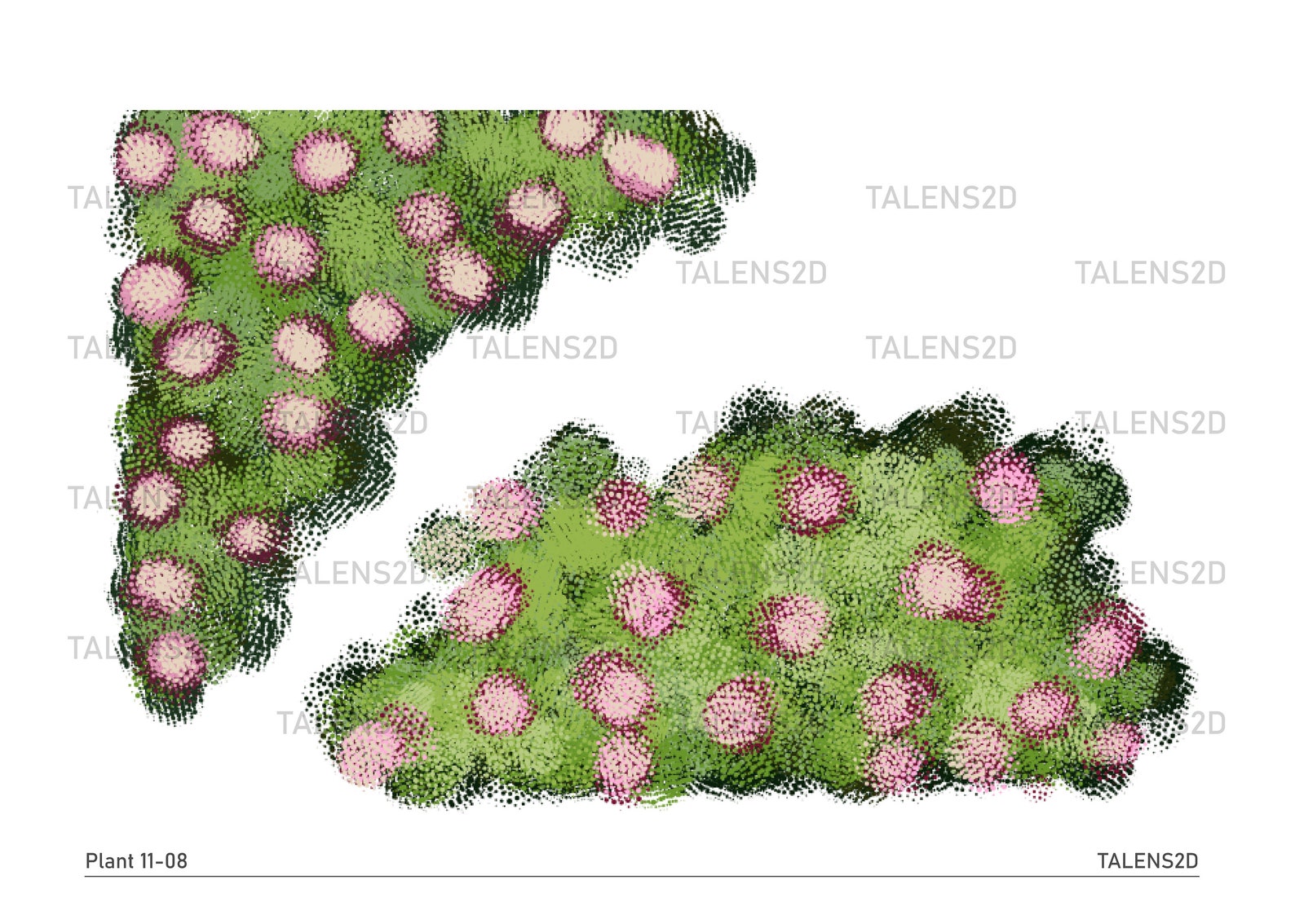Plant Top View, 2D Landscape Clipart in PNG - Etsy