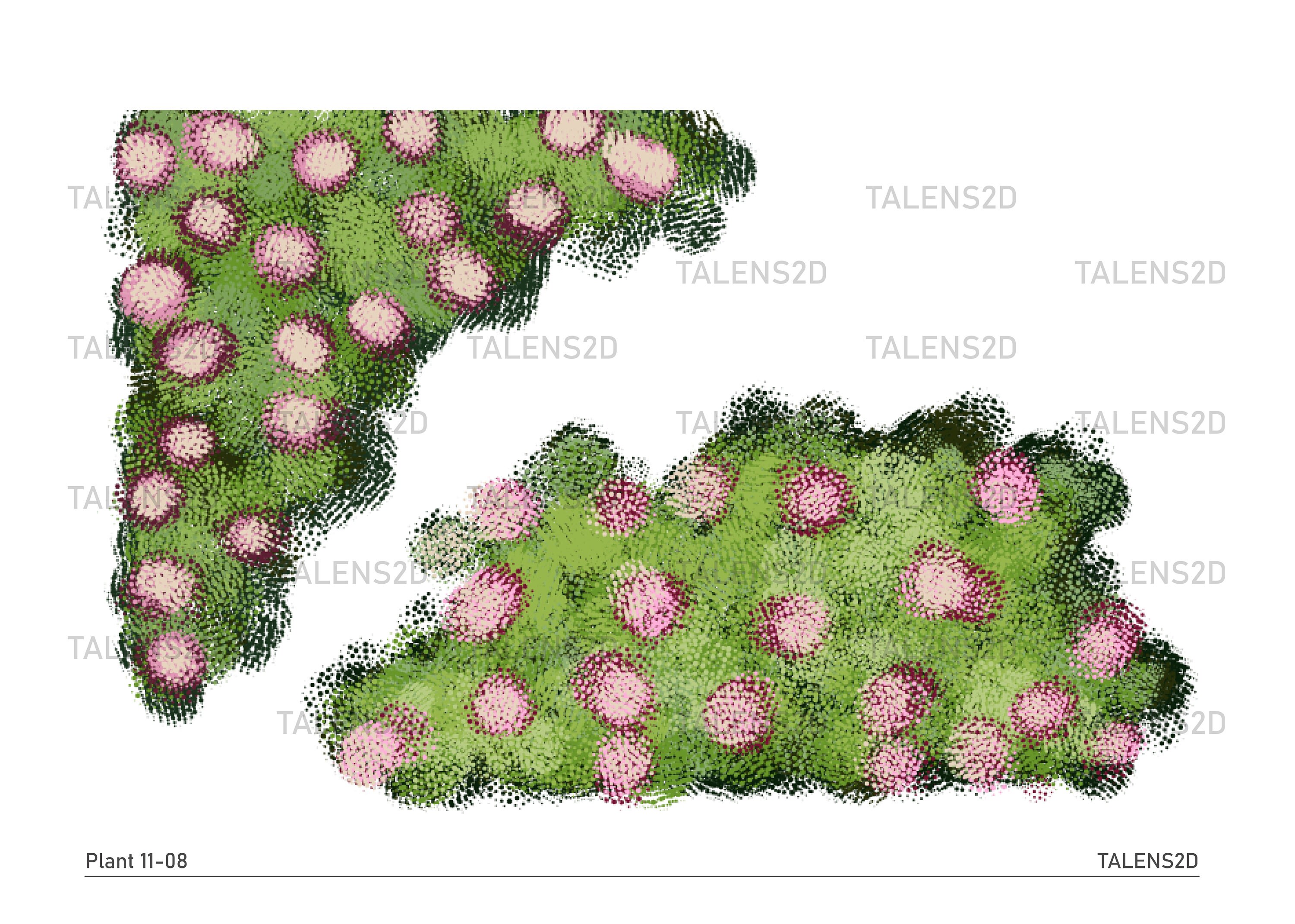Plant Top View, 2D Landscape Clipart in PNG - Etsy