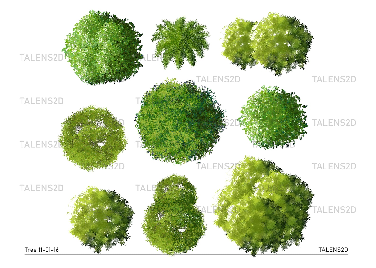 Tree Top View, 2D Landscape Clipart in PNG - Etsy