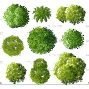 Tree Top View, 2D Landscape Clipart in PNG - Etsy