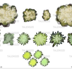 Plant Top View, 2D Landscape Clipart in PNG - Etsy